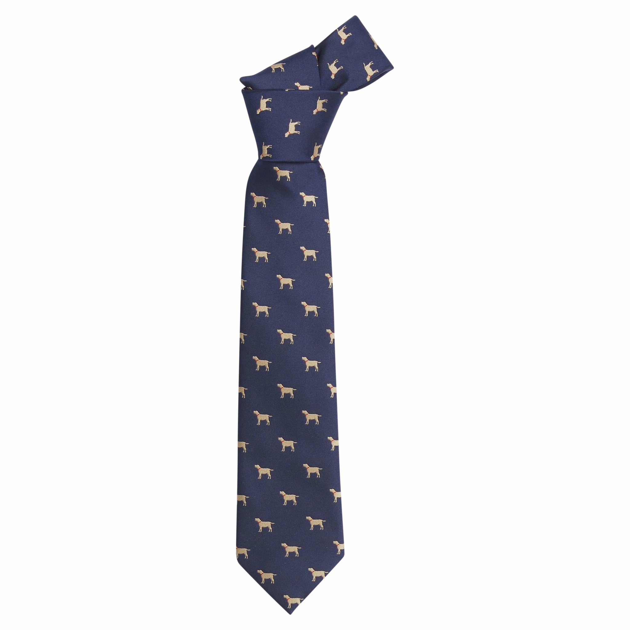 Little Boy's Lab Neck Tie - Kids Preppy Clothes – Little English